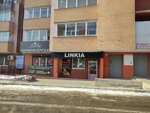 Linkia (bulvar Ryabikova No:36/4), giyim mağazası  Irkutsk'tan