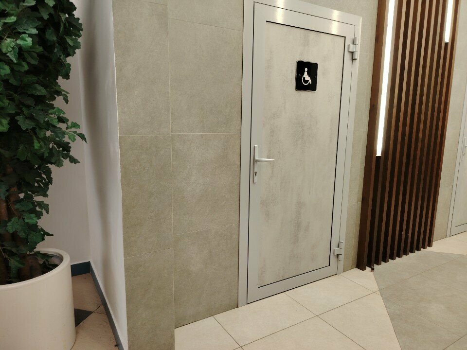 Engelliler için tuvalet Туалет для инвалидов, Cheboksary, foto