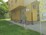 Pet Story (ulitsa Andzhe Rankovich No:11), hayvanat bahçesi merkezi  Novi Sad'dan
