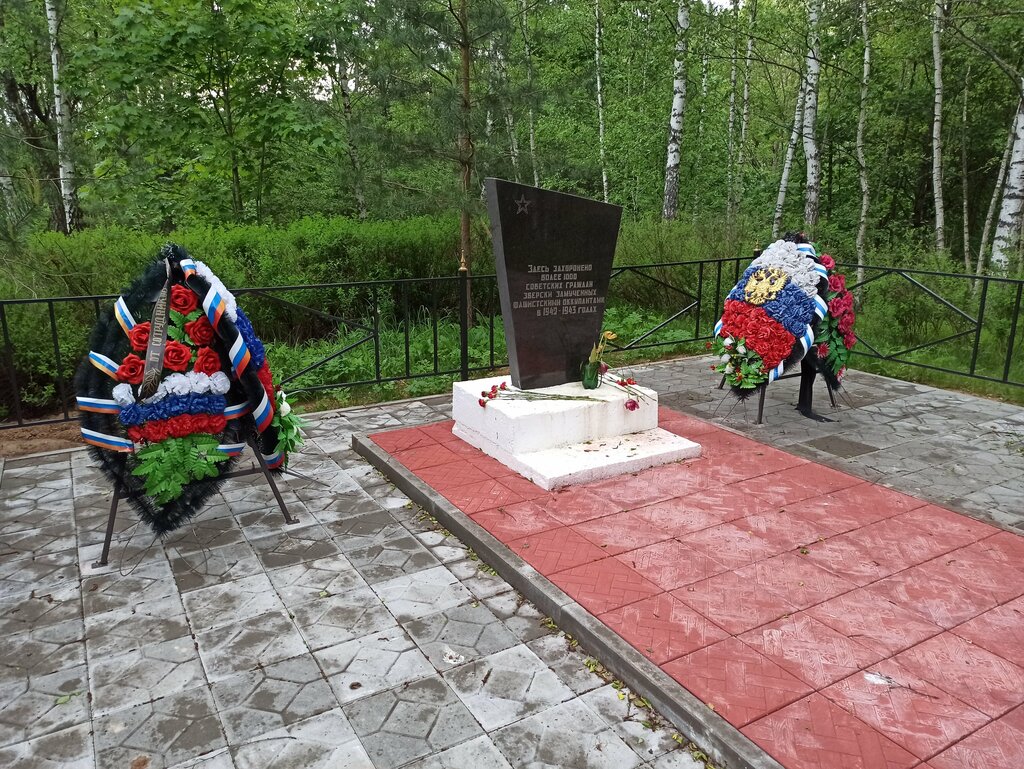 Anıt, heykel Обелиск в память военнопленных, расстрелянных фашистами, Smolenskaya oblastı, foto