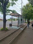 Хлебозавод (Kursk, 50 Let Oktyabrya Street), toplu taşıma durağı  Kursk'tan