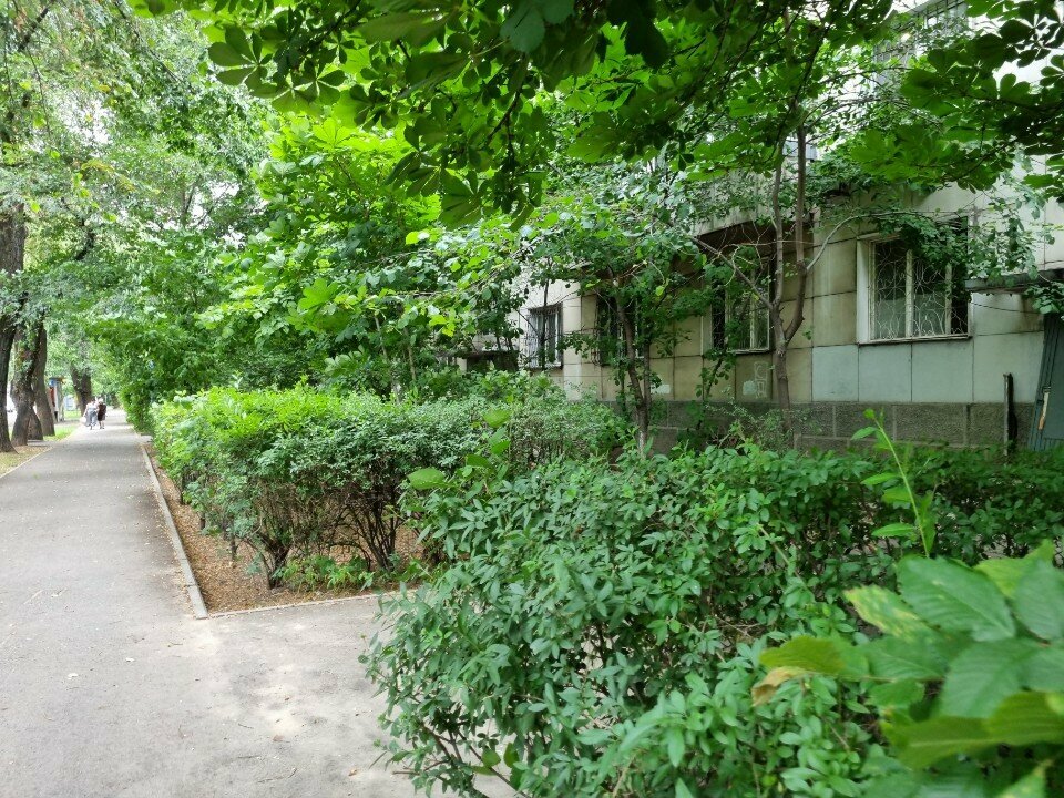 Pazar araştırma firmaları Akhmadi Invest, Almatı, foto