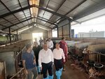 Marder Hayvancılık Çiftliği (Bursa, Karacabey, Taşlık Mah.), tarım firmaları  Karacabey'den