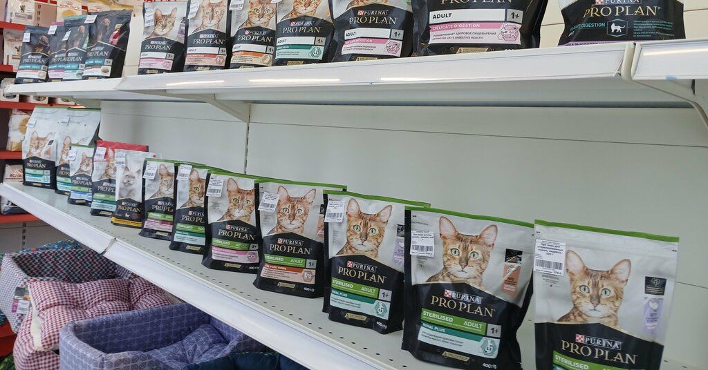 Petshop ЗооVET, Udmurtiya, foto