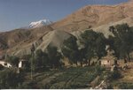 Ararat Trip (Ağrı, Doğubayazıt, İshak Paşa Cad.), seyahat acenteleri  Doğubayazıt'tan