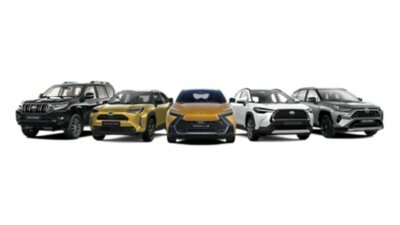 Otomobil servisi Haytaoğlu Toyota Özel Servis, İstanbul, foto