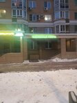 Альб (Beregovaya Street No:2, mikrorayon Klyazma-Starbeyevo, kvartal Mezhdunarodny, Khimki), lojistik firmaları  Himki'den