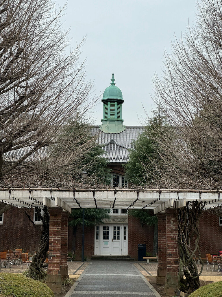 Üniversiteler Университет Риккё, Tokyo, foto