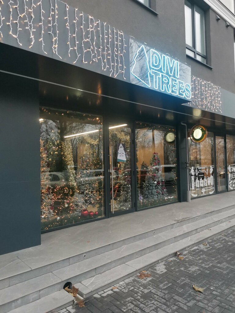 Yapay çam ağaçları ve süsleri Divi Trees, Beltsi, foto