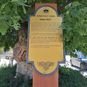 Kanlı Pelit ağaçı (Aksaray, Aksaray Merkez , Coğlaki Mah., 1209. Sok.), kültür ve eğlence parkları  Aksaray'dan