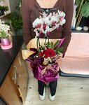 Çiçekçi (Gümüşhane, Şiran, Tekke Mah., Şehit Teğmen Tuna Kara Cad., 27), çiçekçiler  Şiran'dan