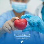 Gentek Medikal İzmir (İzmir, Anadolu Cad., 321/1), medikal cihaz firmaları  İzmir'den