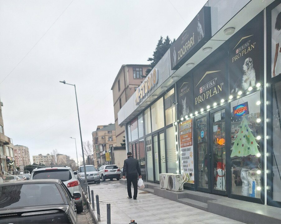 Petshop Zoofari, Bakü, foto