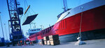 Blue Pearl Logistics LLC (73E, Hellium 1 Street, Community Jabal Ali Industrial First, Jebel Ali, Dubai), lojistik firmaları  Dubai'den