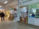 Игрушки (Teatralnaya Street No:7Б, Bykovo Village), çocuk oyunları ve oyuncakları  Moskova ve Moskovskaya oblastından
