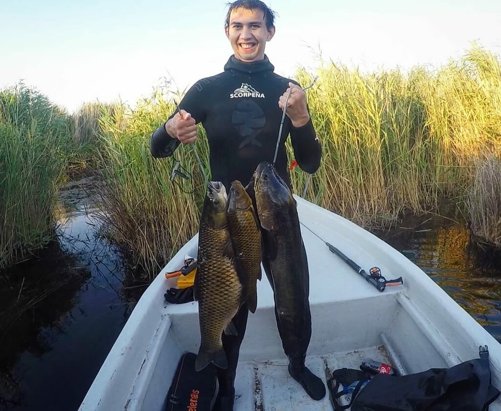 Kamp malzemeleri Plot, Minsk, foto