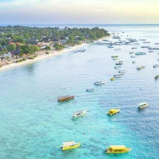 Otel Cape Rose, , foto