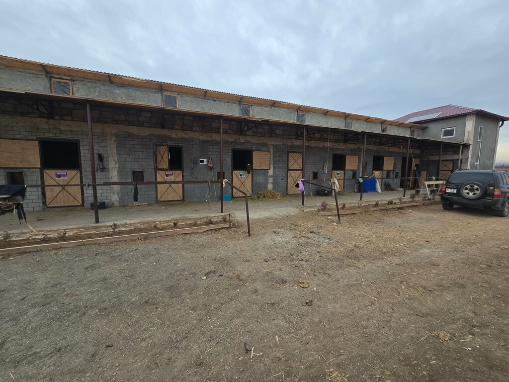 Spor okulları Mirage Horse Riding Club, Ararat, foto
