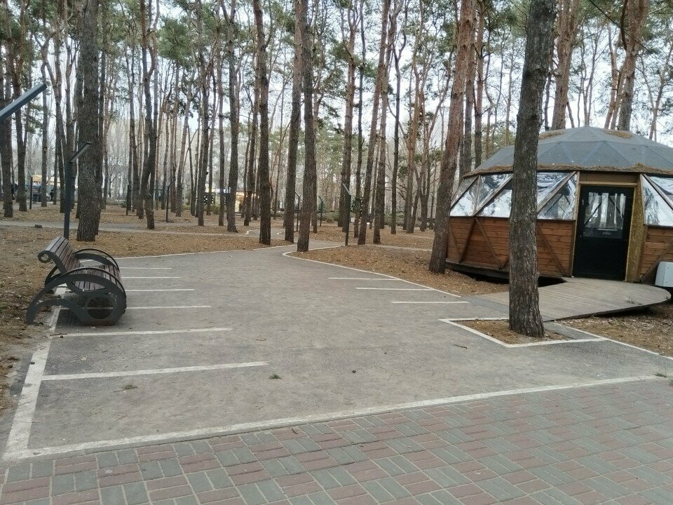 Kiralama noktası Трассы для гоночных машин, Voronej, foto