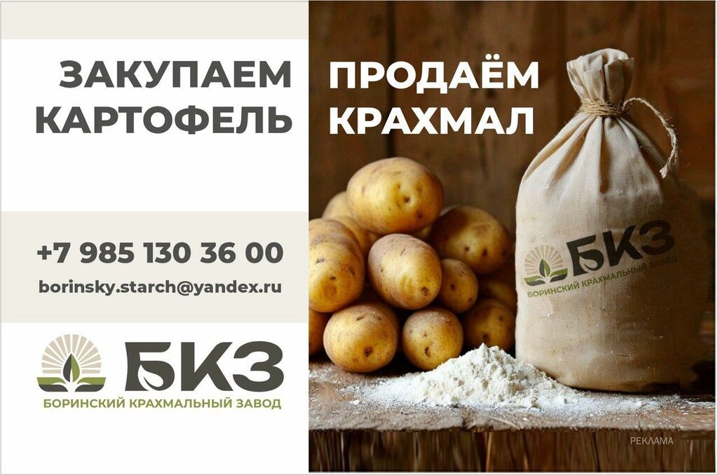 Gıda hammaddesi Borinsky Starch Plant, Lipetskaya oblastı, foto