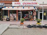 Asel Çiçekçilik (Ankara, Keçiören, Bağlum Blv., 147B), çiçekçiler  Ankara'dan