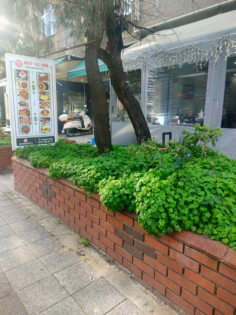 Restoran Antep Taş Fırın, İstanbul, foto