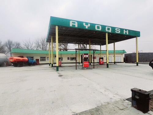 Benzin istasyonu Versal Oil Mchj, Cizzak eyaleti, foto