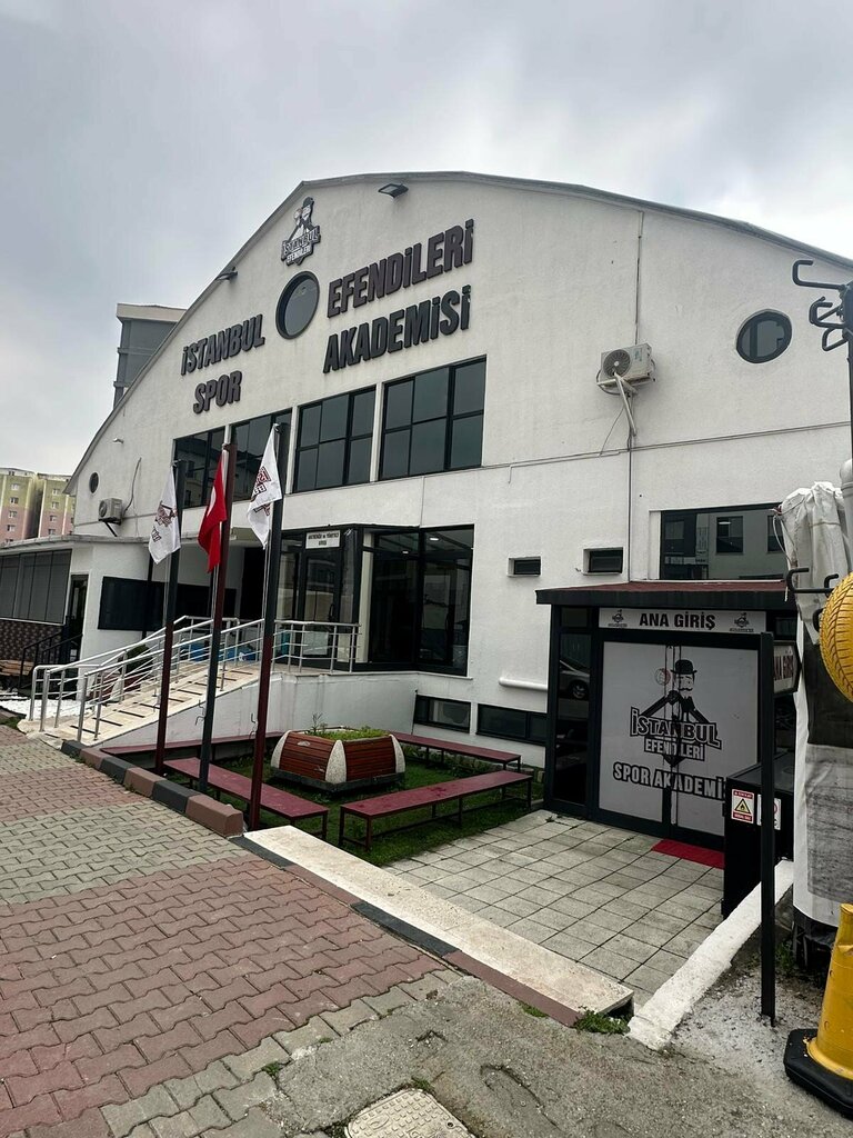 Spor okulları Hidayet Türkoğlu Spor Okulu, İstanbul, foto