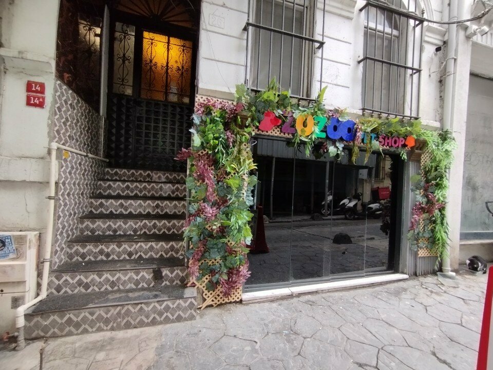 Petshop Zozoo Pet Shop, İstanbul, foto