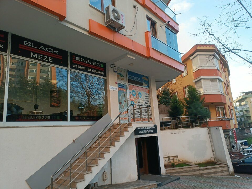 Sigorta şirketleri Allianz Sigorta, İstanbul, foto