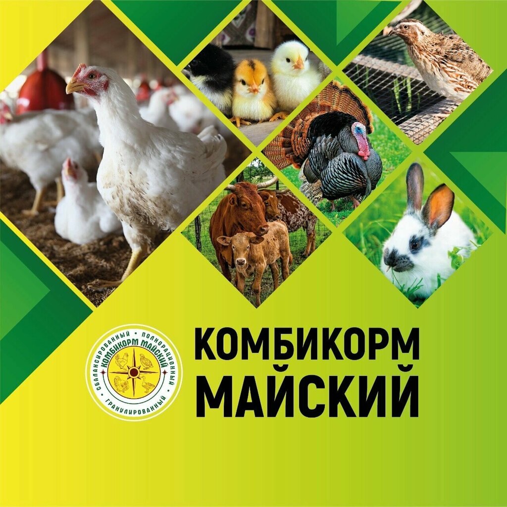 Yem ve yem katkı maddeleri Комбикорма для всех видов животных, Salsk, foto