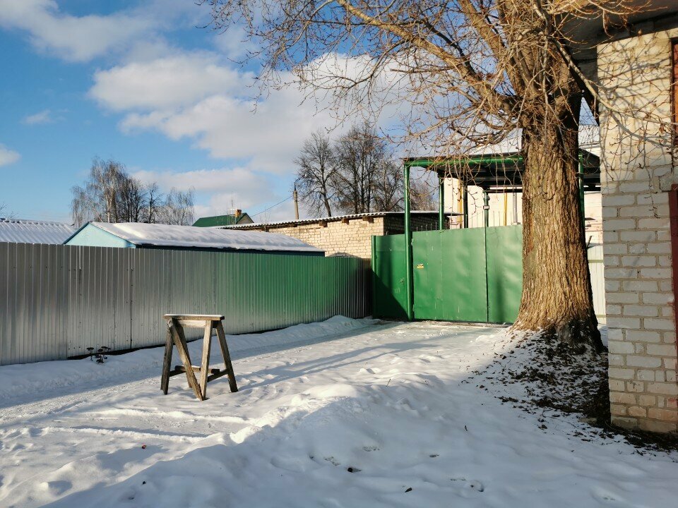Tavan sistemleri Ренессанс потолки, Yoshkar‑Ola, foto