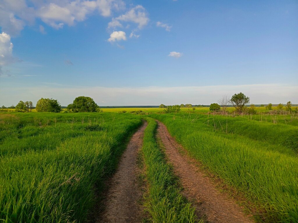 Plaj Татаркинский пляж, Riazanskaya oblastı, foto