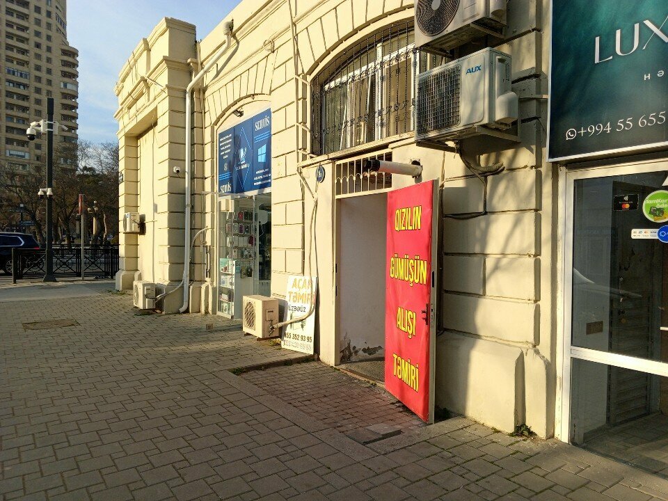 Rehincilik Qızılın alışı, Bakü, foto