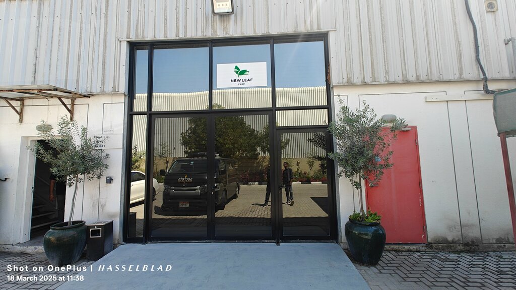 Manavlar New Leaf Microgreens, Dubai, foto