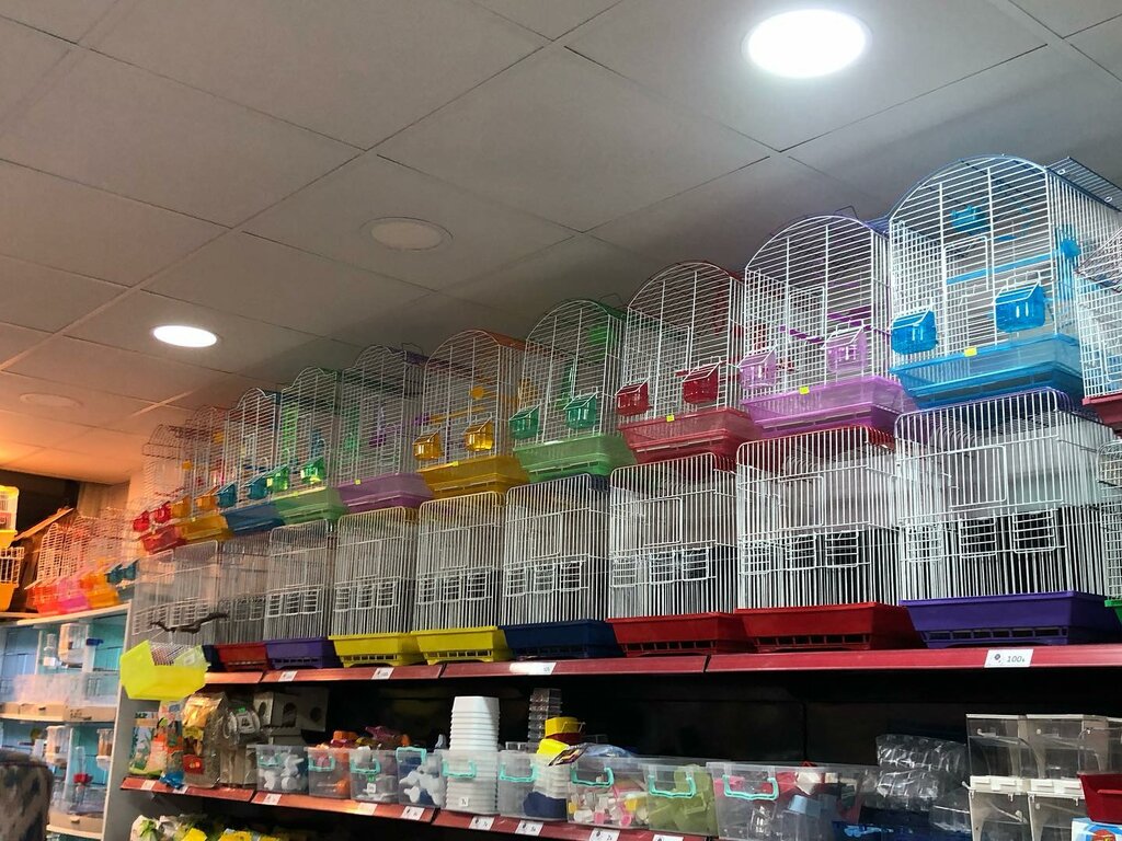 Uslu Petshop, petshop, Kütahya, Tavşanlı, Ulucami Mah., Yalvaç Sok., 4B ...