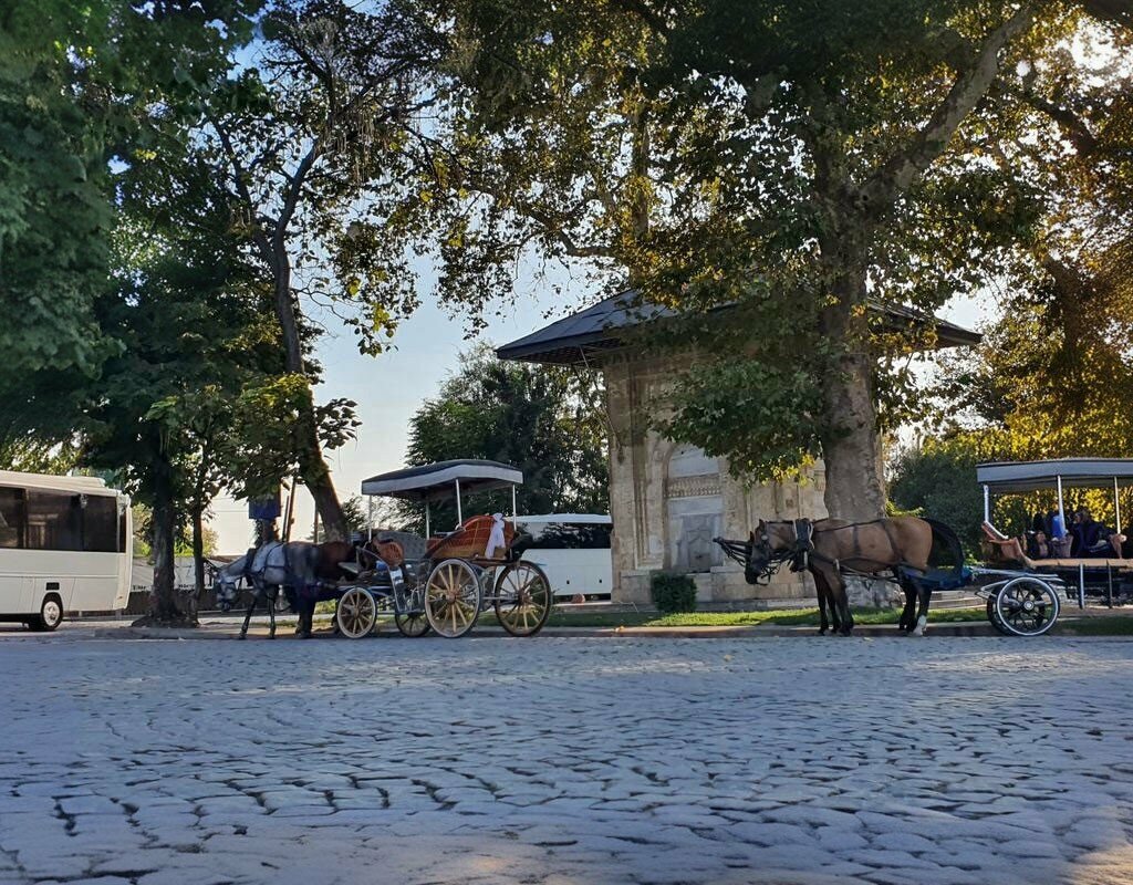 Kafe Edirne Belediyesi Cafe ve Çay Bahçesi, Edirne, foto