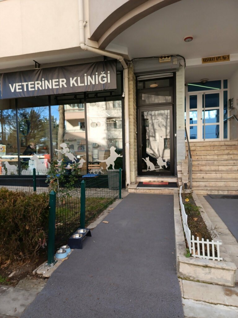 Sosyal rehabilitasyon merkezi Veteriner Fizik Tedavi ve Rehabilitasyon Merkezi, Ankara, foto