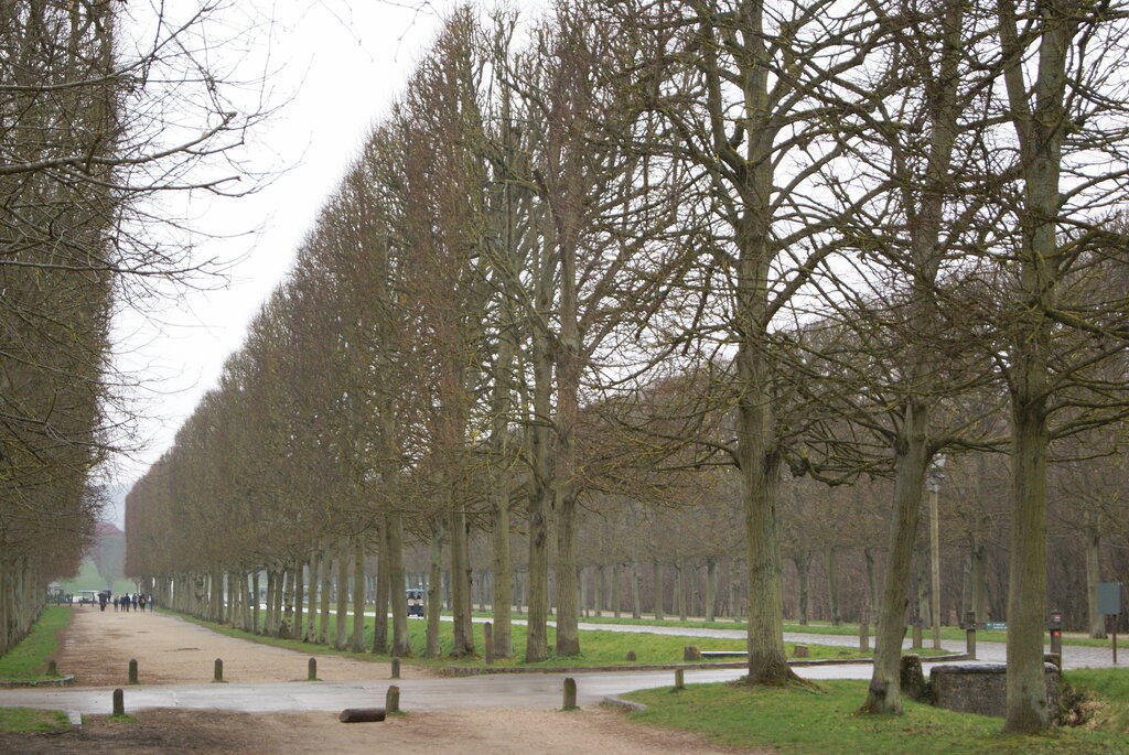 Turistik yerler Salle des Marronniers, , foto