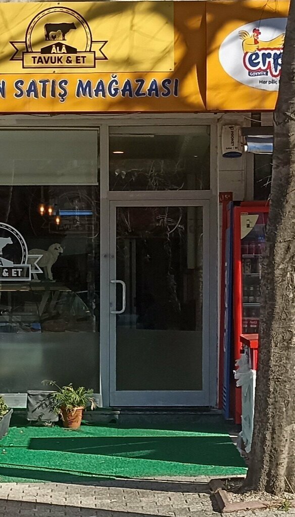 Kasap, şarküteri Âlâ Tavuk ve Et Pazarı, İstanbul, foto