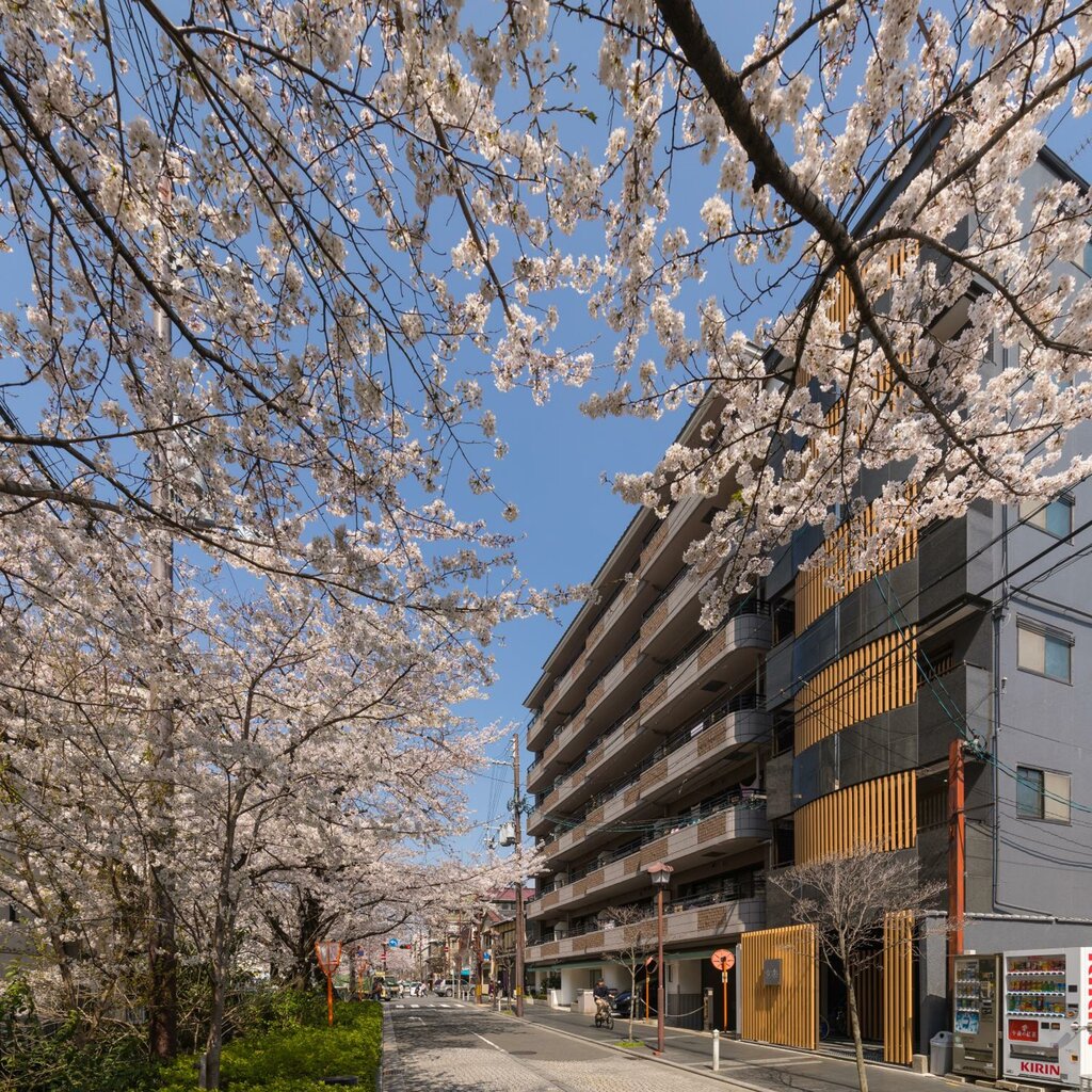 Otel Kyoto River View House Kyou-raku, Kyoto, foto