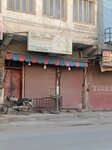 Jungle Kingdom (Alam Khan Road No:H376/377/378/379, Naya Mohalla), petshop  Rawalpindi'den