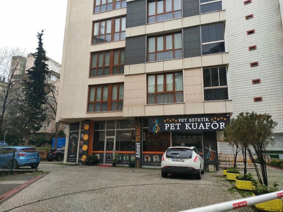 Evcil hayvan kuaförleri Pet Estetik Pet Kuaför, İstanbul, foto