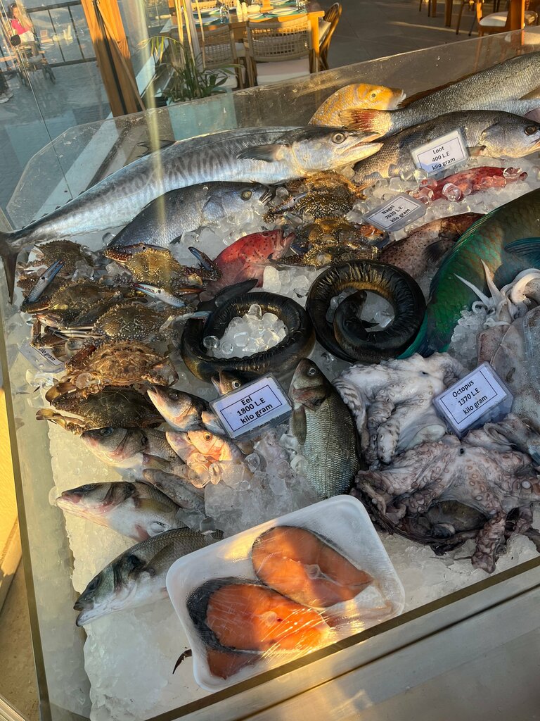 Restoran Felucca Seafood, Hurgada, foto