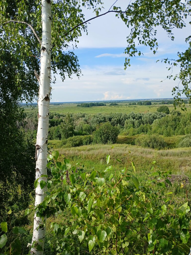 Doğa Достопримечательность Геологические отложения у села Дядьково, Riazanskaya oblastı, foto