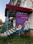 Dog groom (pereulok Chernyshevskogo No:3), evcil hayvan kuaförleri  Yuriuzan'dan