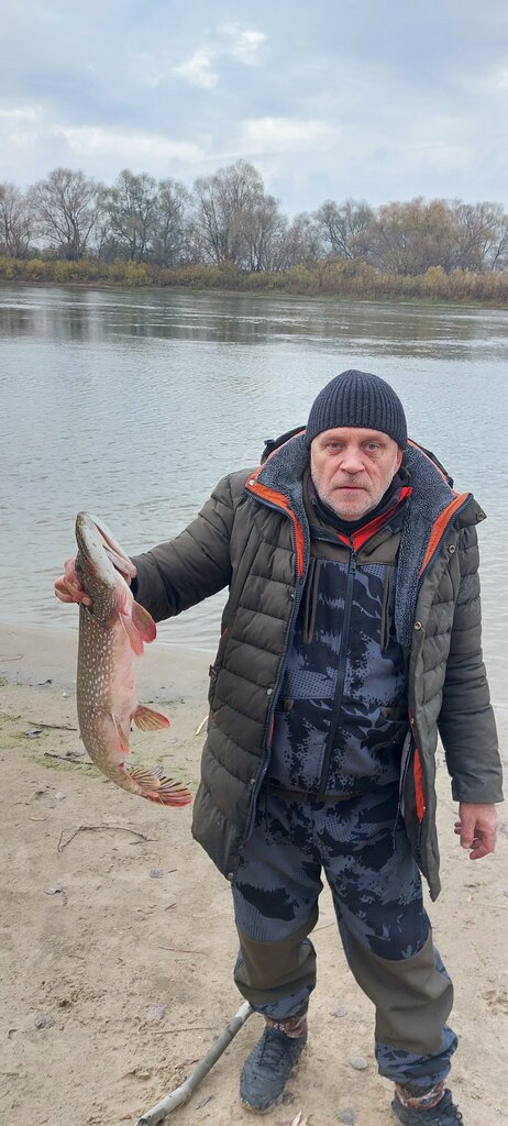 i̇skele Добрыня, Riazanskaya oblastı, foto