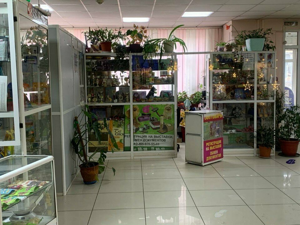 Petshop Zoovettsentr, Krasnoyarsk, foto