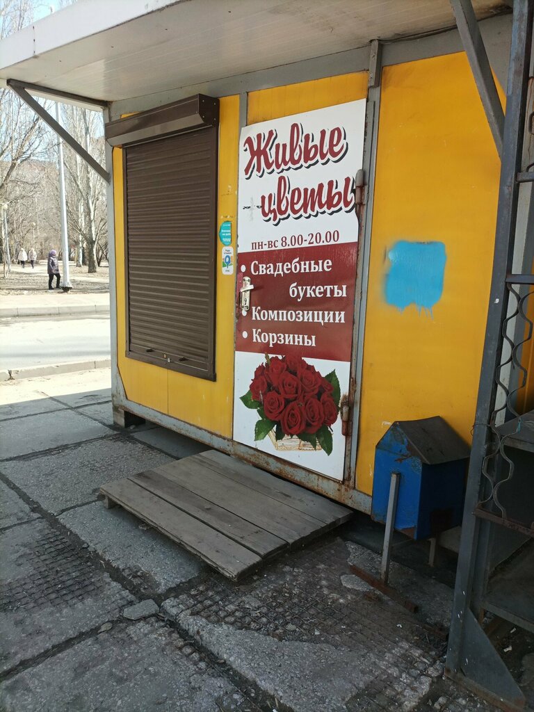 Çiçek teslimatı Zhivyye tsvety, Tolyatti (Togliatti), foto