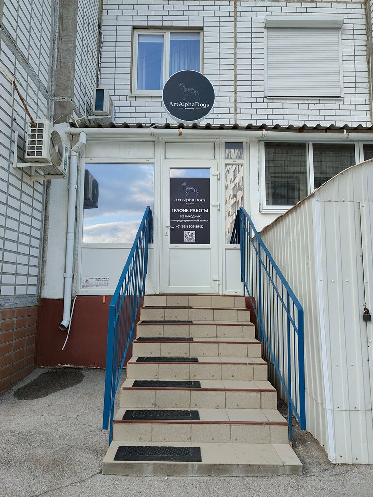 Evcil hayvan kuaförleri ArtAlphaDogs, Tolyatti (Togliatti), foto